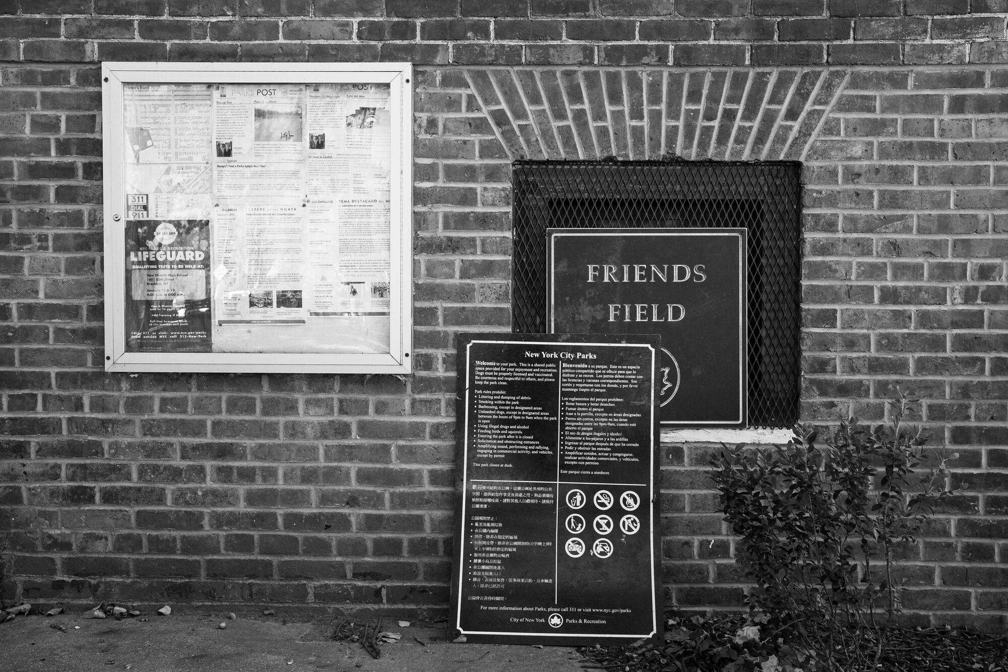 Friends Field - Site Specialists